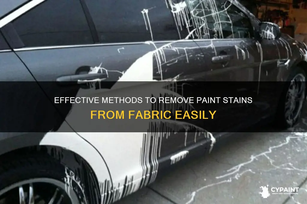 Effective Methods To Remove Paint Stains From Fabric Easily | CyPaint
