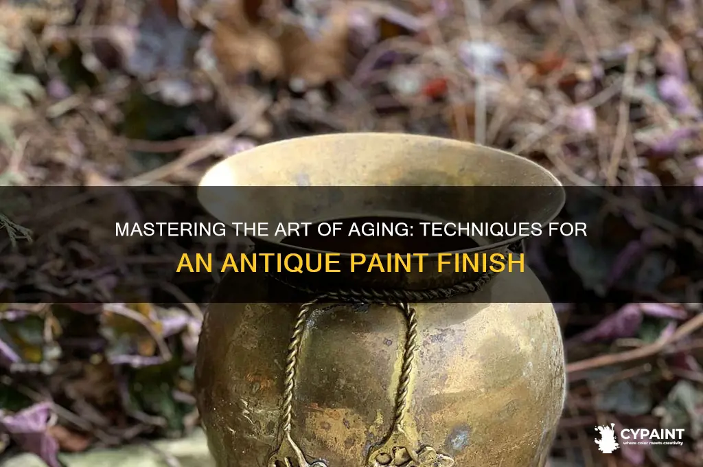 Mastering The Art Of Aging: Techniques For An Antique Paint Finish ...