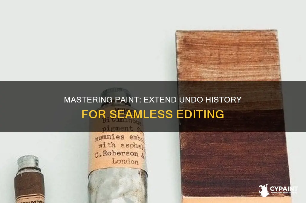 Mastering Paint: Extend Undo History For Seamless Editing | CyPaint
