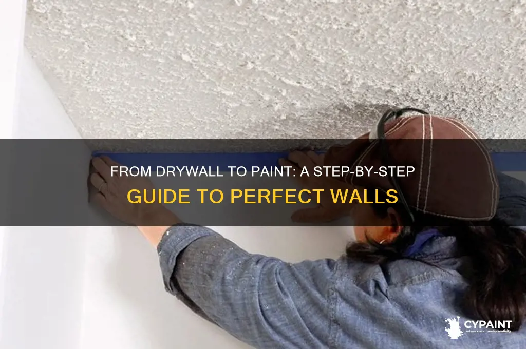 From Drywall To Paint: A Step-By-Step Guide To Perfect Walls | CyPaint