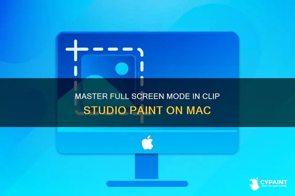 Master Full Screen Mode In Clip Studio Paint On Mac | CyPaint