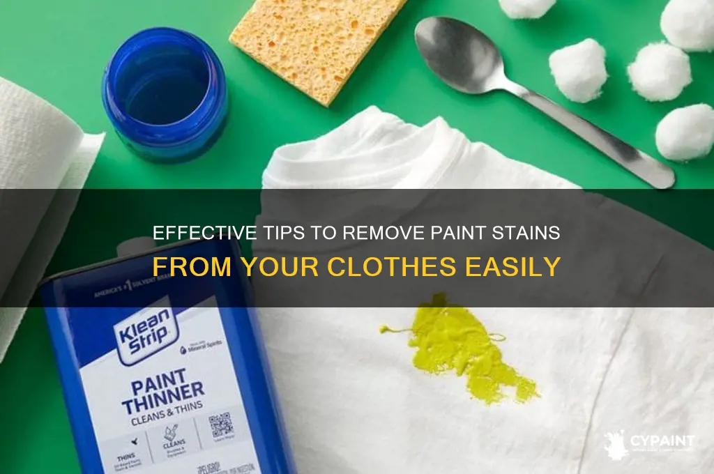 Effective Tips To Remove Paint Stains From Your Clothes Easily | CyPaint