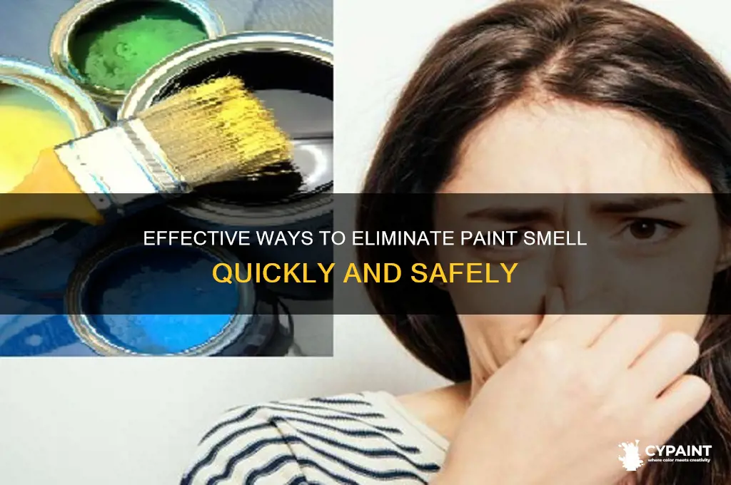 Effective Ways To Eliminate Paint Smell Quickly And Safely | CyPaint