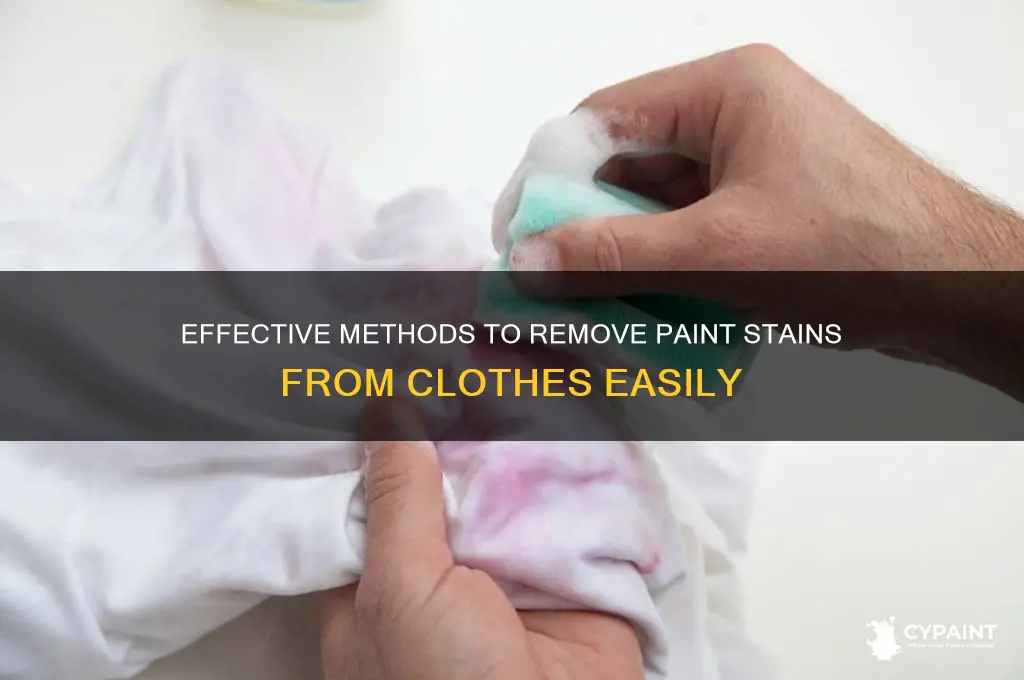 Effective Methods To Remove Paint Stains From Clothes Easily | CyPaint