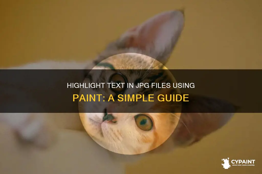 Highlight Text In Jpg Files Using Paint: A Simple Guide | CyPaint