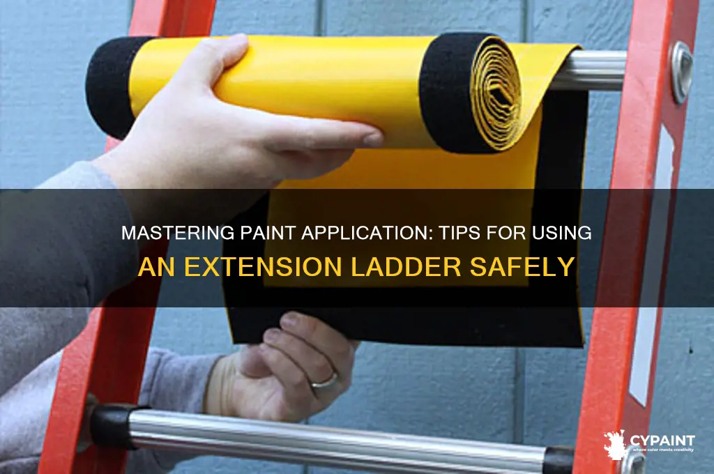Mastering Paint Application: Tips For Using An Extension Ladder Safely ...
