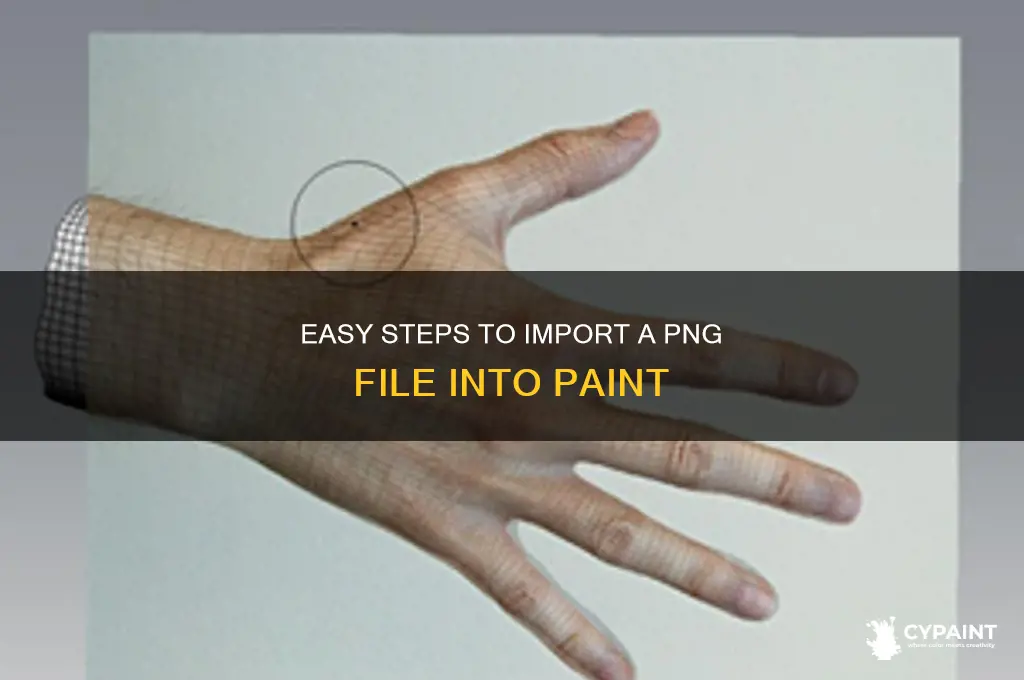Easy Steps To Import A Png File Into Paint | CyPaint