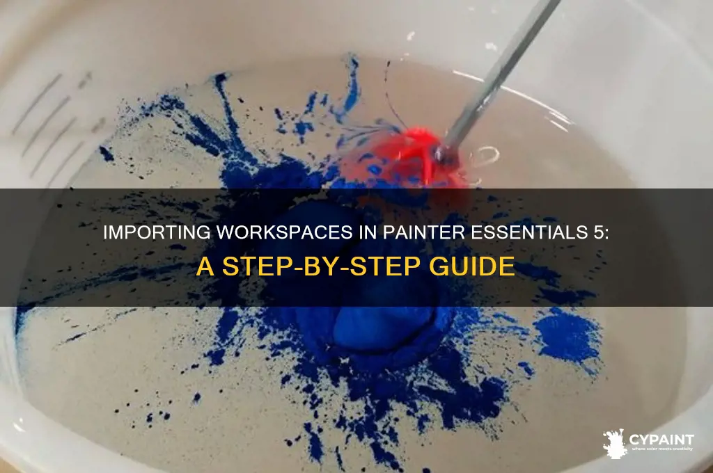 Importing Workspaces In Painter Essentials 5: A Step-By-Step Guide ...