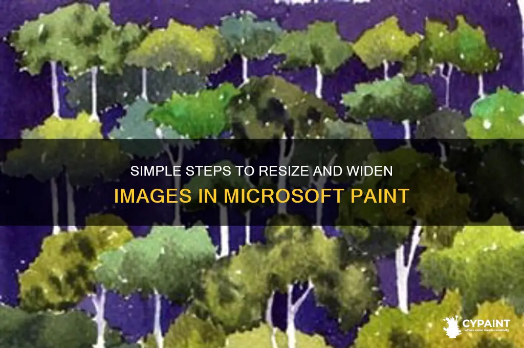 Simple Steps To Resize And Widen Images In Microsoft Paint | CyPaint