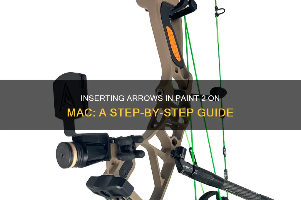 Inserting Arrows In Paint 2 On Mac: A Step-By-Step Guide | CyPaint