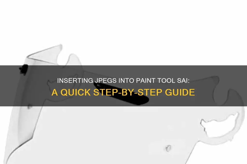 Inserting Jpegs Into Paint Tool Sai: A Quick Step-By-Step Guide | CyPaint