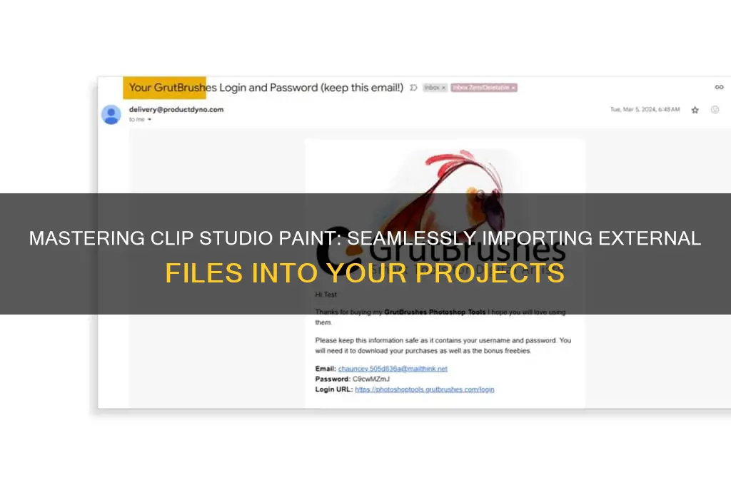 Mastering Clip Studio Paint: Seamlessly Importing External Files Into ...
