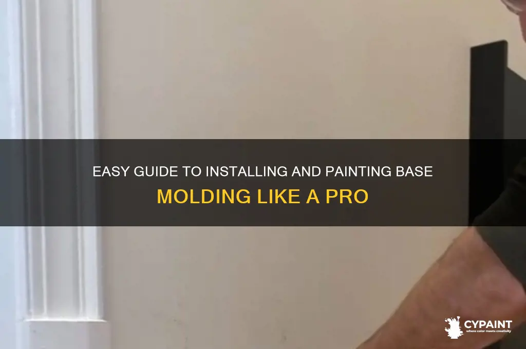 Easy Guide To Installing And Painting Base Molding Like A Pro | CyPaint
