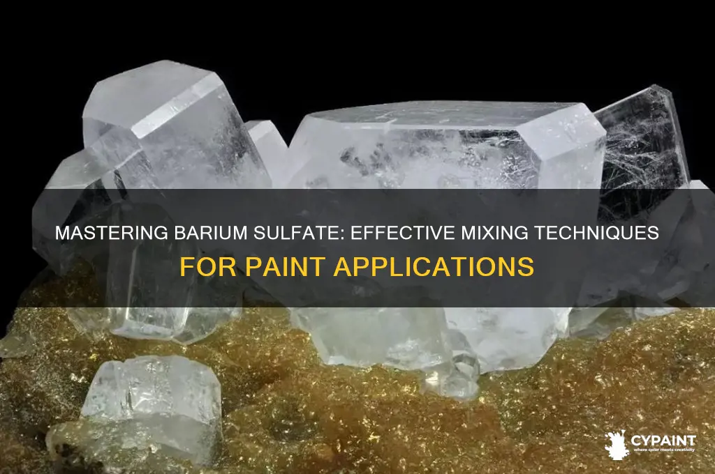Mastering Barium Sulfate: Effective Mixing Techniques For Paint ...