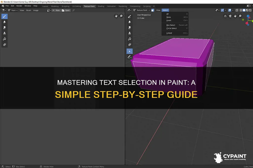Mastering Text Selection In Paint: A Simple Step-By-Step Guide | CyPaint