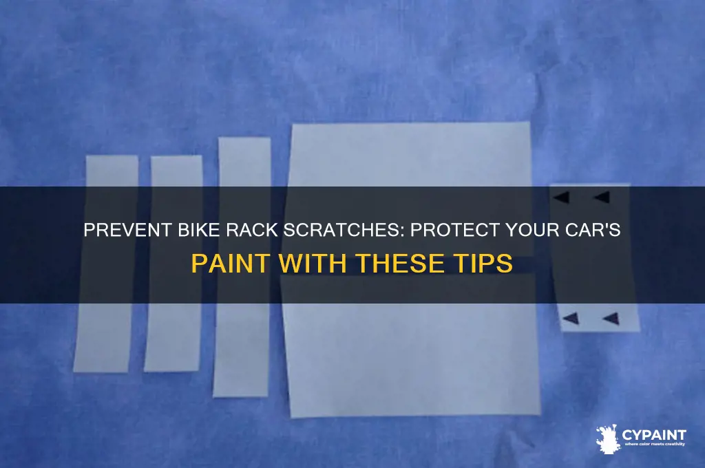 Prevent Bike Rack Scratches: Protect Your Car's Paint With These Tips ...
