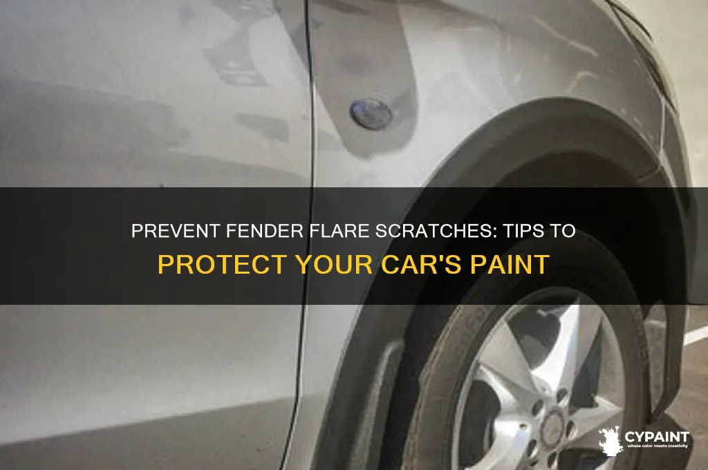 Prevent Fender Flare Scratches: Tips To Protect Your Car's Paint | CyPaint