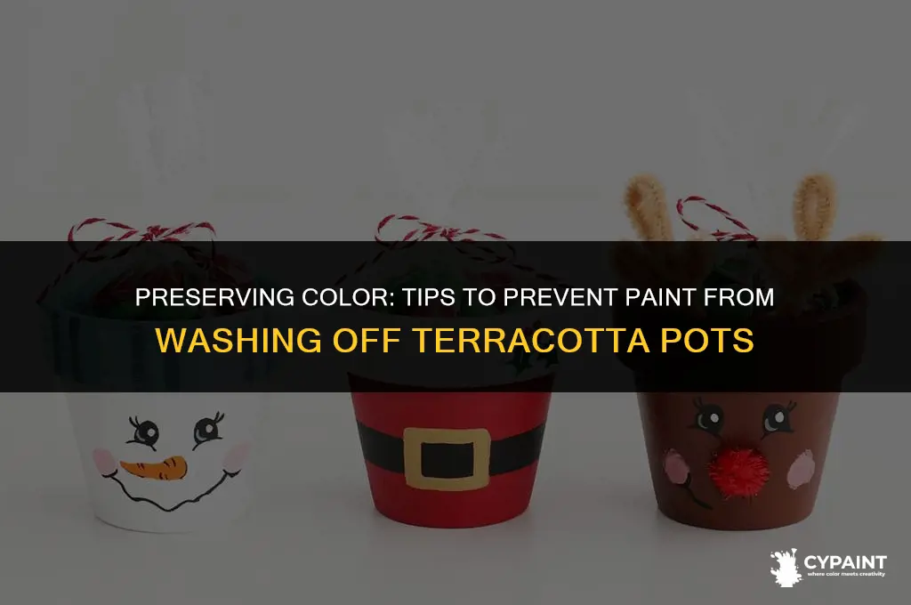 Preserving Color: Tips To Prevent Paint From Washing Off Terracotta ...