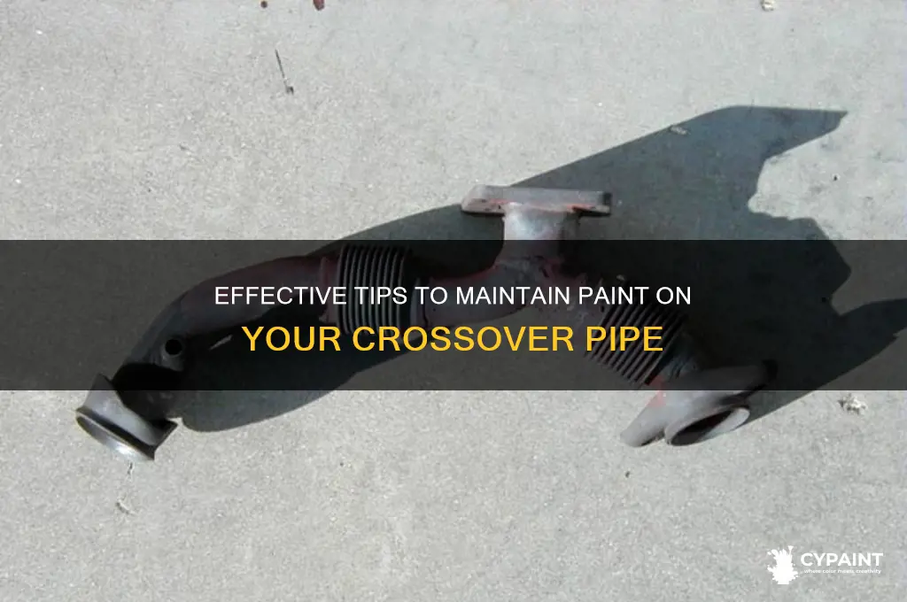 Effective Tips To Maintain Paint On Your Crossover Pipe | CyPaint