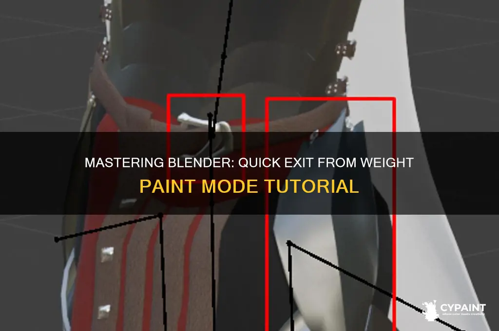 Mastering Blender: Quick Exit From Weight Paint Mode Tutorial | CyPaint