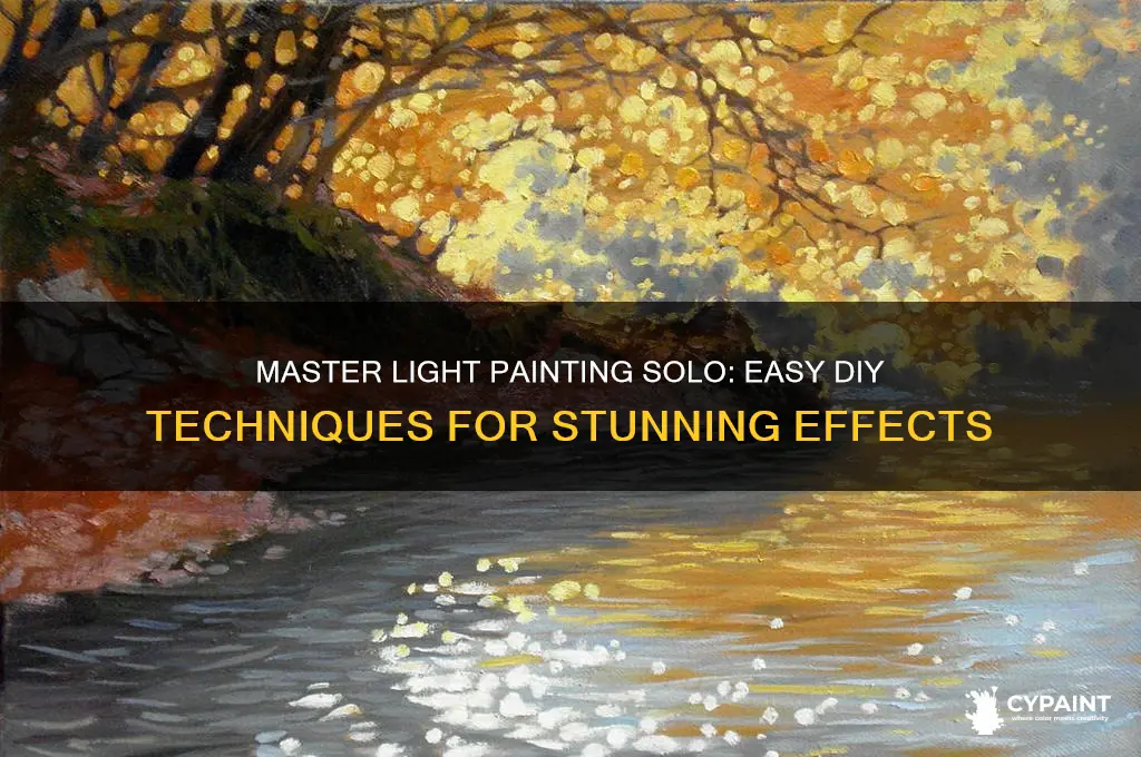 Master Light Painting Solo: Easy Diy Techniques For Stunning Effects ...