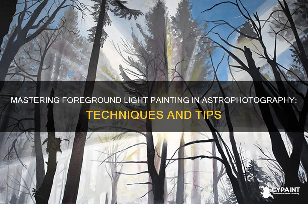 Mastering Foreground Light Painting In Astrophotography: Techniques And ...