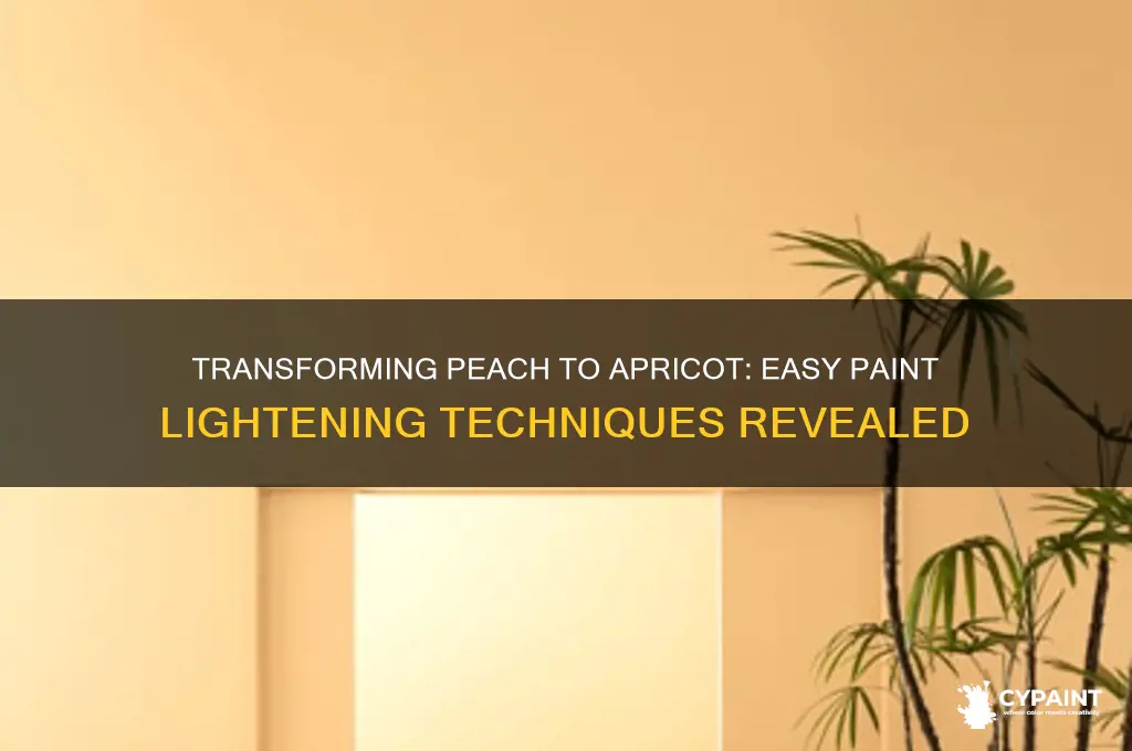 Transforming Peach To Apricot: Easy Paint Lightening Techniques ...
