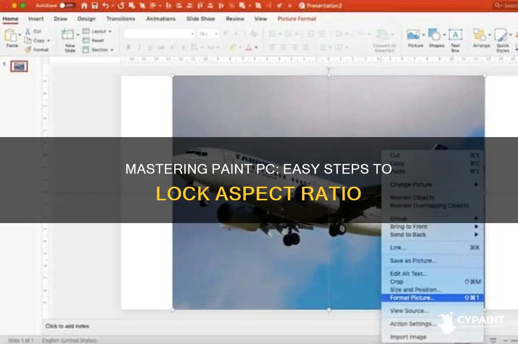 Mastering Paint Pc: Easy Steps To Lock Aspect Ratio | CyPaint