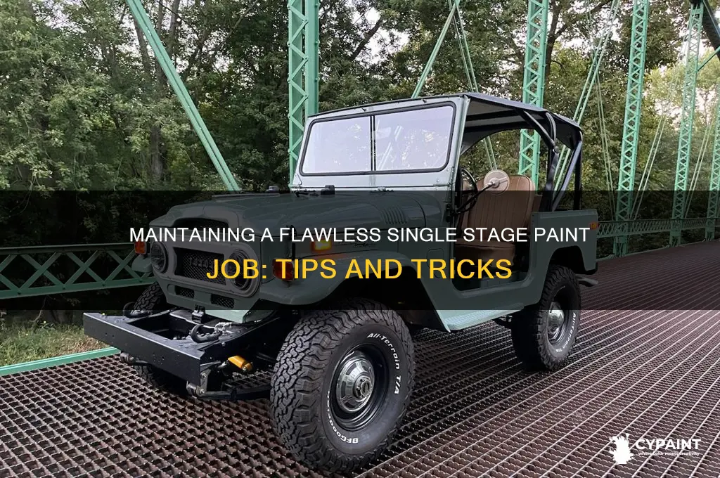 Maintaining A Flawless Single Stage Paint Job: Tips And Tricks | CyPaint