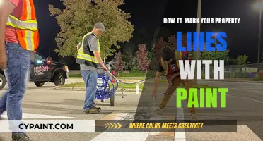 Easy Diy Guide: Marking Property Lines With Paint Accurately | CyPaint