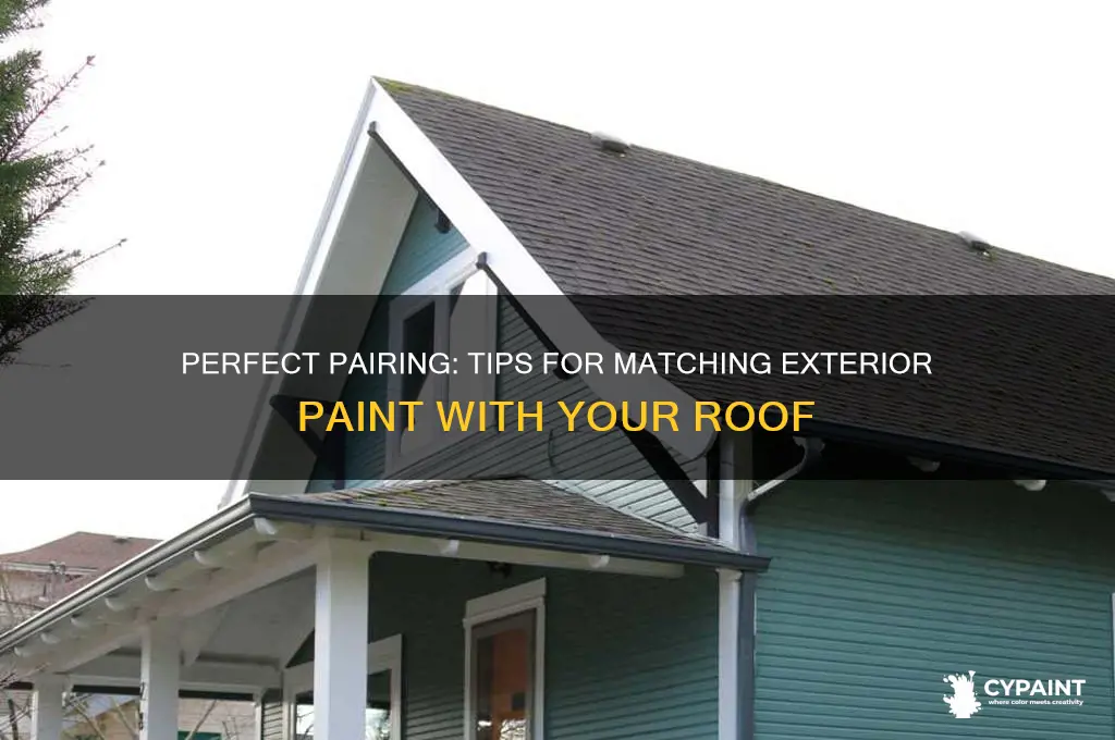 Perfect Pairing: Tips For Matching Exterior Paint With Your Roof | CyPaint