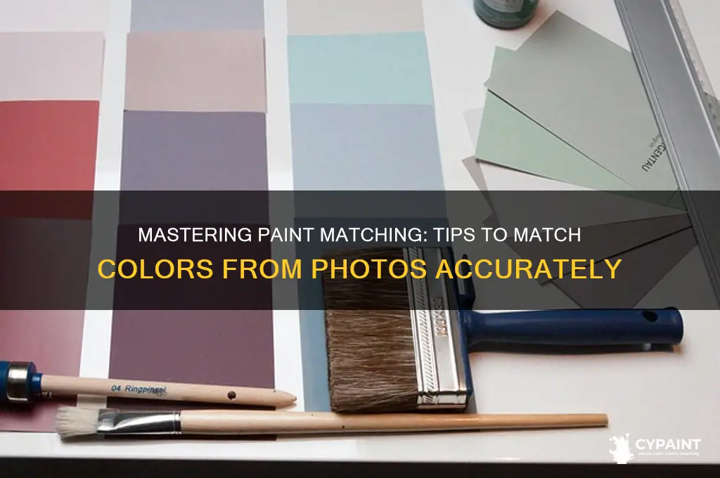 Mastering Paint Matching: Tips To Match Colors From Photos Accurately ...