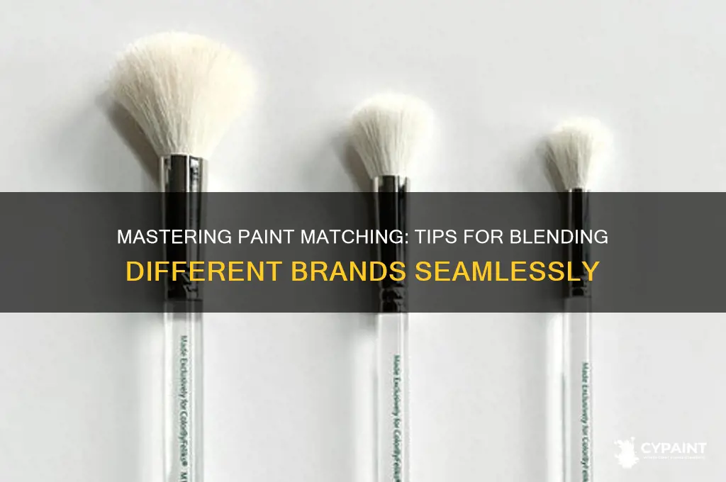 Mastering Paint Matching: Tips For Blending Different Brands Seamlessly ...