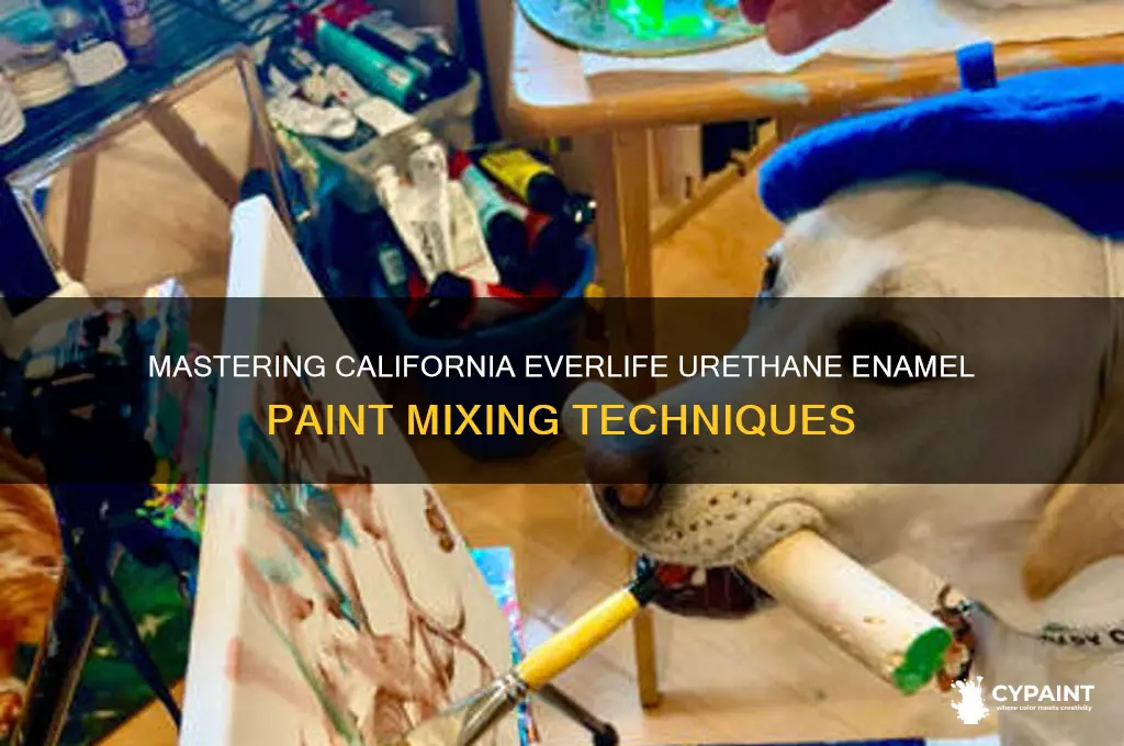 Mastering California Everlife Urethane Enamel Paint Mixing Techniques ...