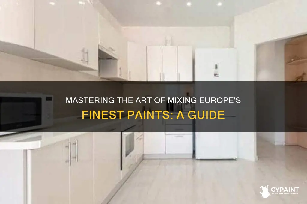 Mastering The Art Of Mixing Europe's Finest Paints: A Guide | CyPaint