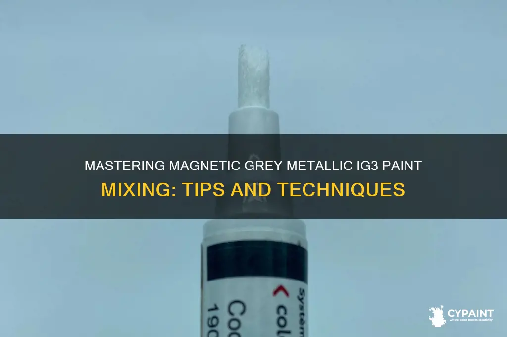 Mastering Magnetic Grey Metallic Ig3 Paint Mixing: Tips And Techniques ...