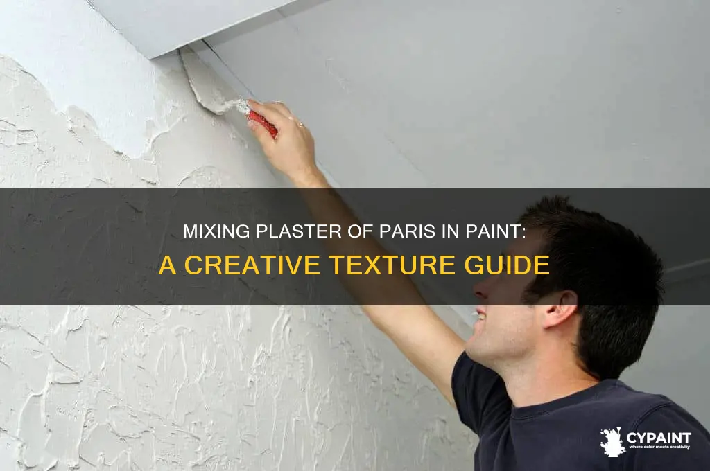 Mixing Plaster Of Paris In Paint: A Creative Texture Guide | CyPaint