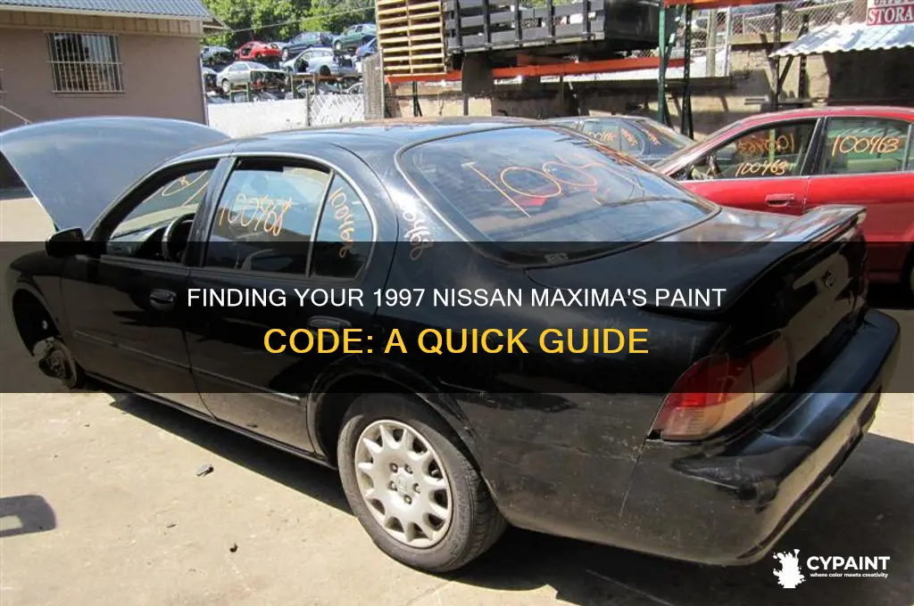 Finding Your 1997 Nissan Maxima's Paint Code: A Quick Guide | CyPaint