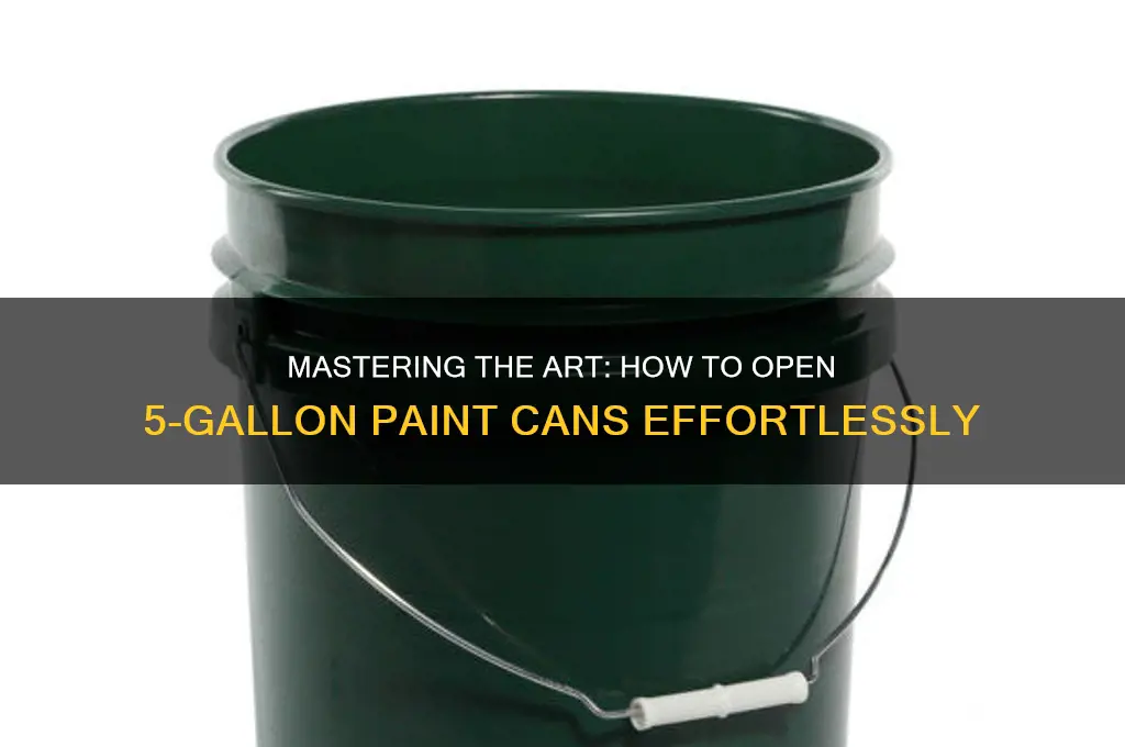 Mastering The Art: How To Open 5-Gallon Paint Cans Effortlessly | CyPaint