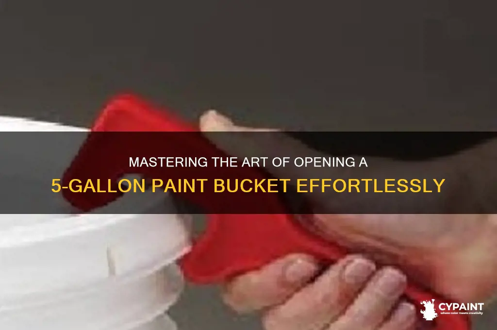 Mastering The Art Of Opening A 5-Gallon Paint Bucket Effortlessly | CyPaint