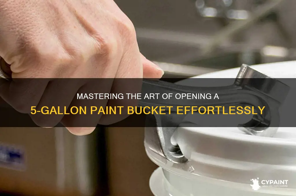 Mastering The Art Of Opening A 5-Gallon Paint Bucket Effortlessly | CyPaint