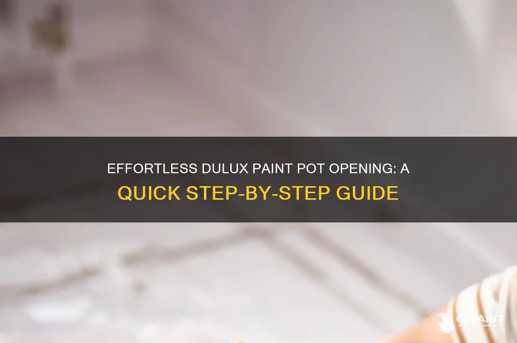 Effortless Dulux Paint Pot Opening: A Quick Step-By-Step Guide | CyPaint