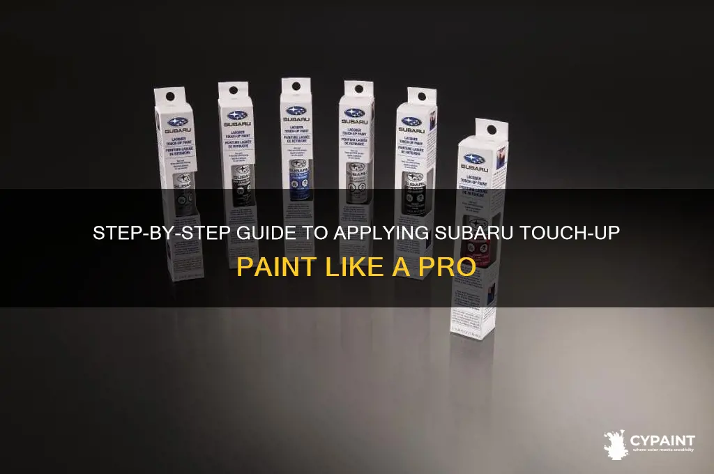 Step-By-Step Guide To Applying Subaru Touch-Up Paint Like A Pro | CyPaint