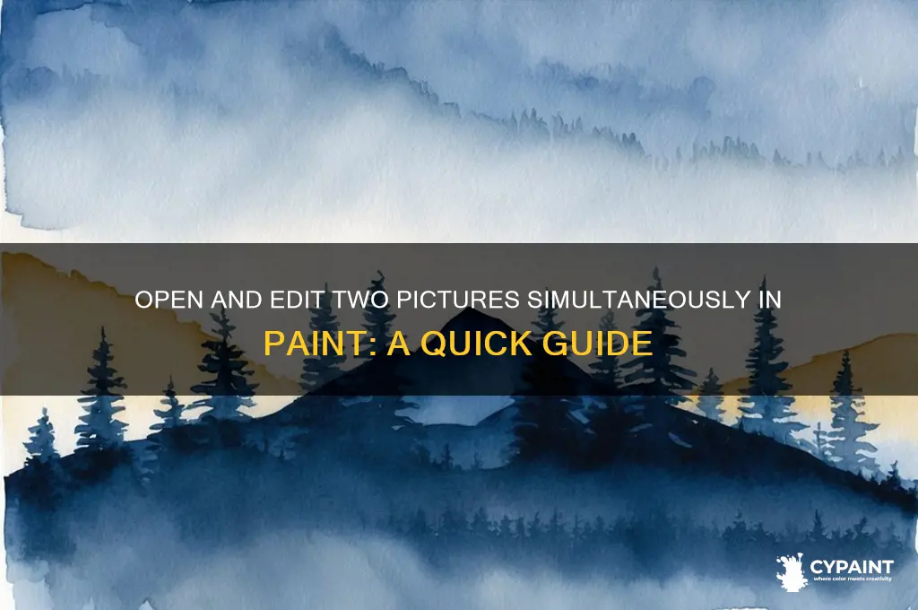 Open And Edit Two Pictures Simultaneously In Paint: A Quick Guide | CyPaint