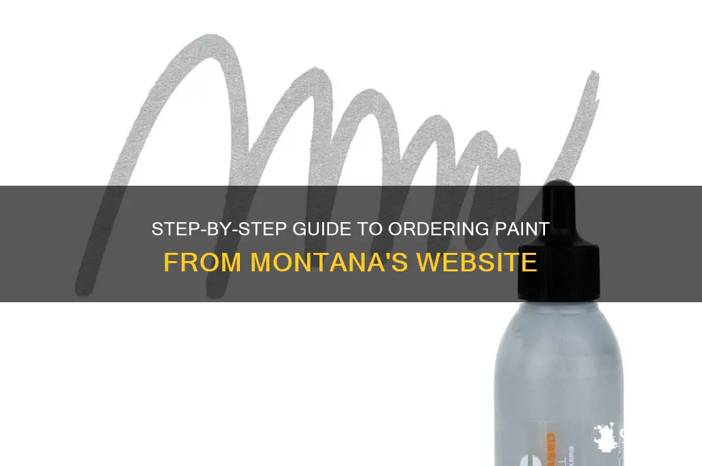 Step-By-Step Guide To Ordering Paint From Montana's Website | CyPaint