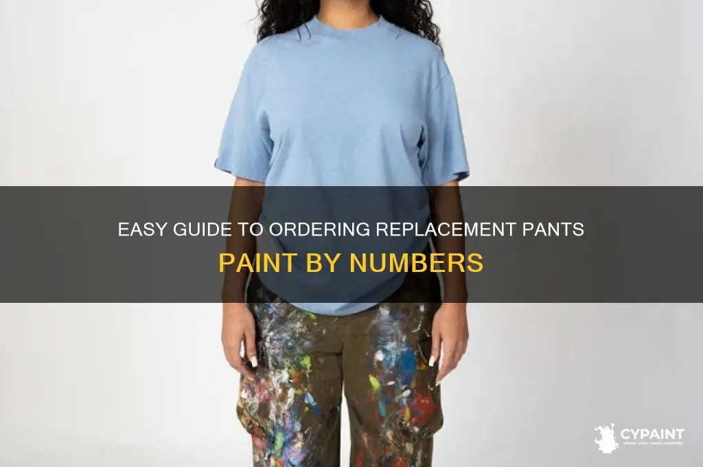 Easy Guide To Ordering Replacement Pants Paint By Numbers | CyPaint