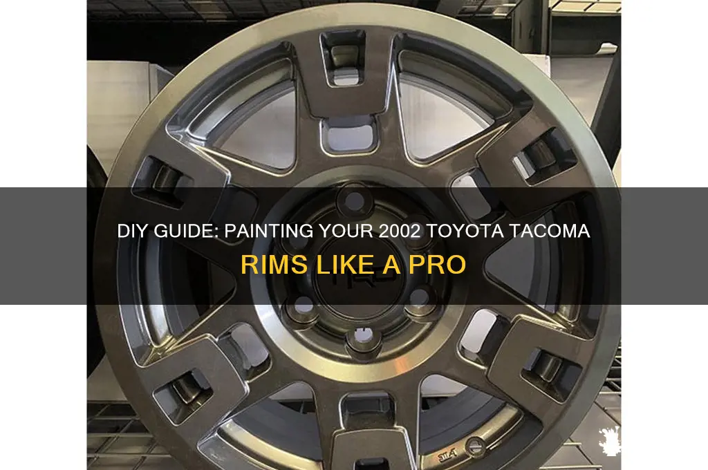 Diy Guide: Painting Your 2002 Toyota Tacoma Rims Like A Pro | CyPaint