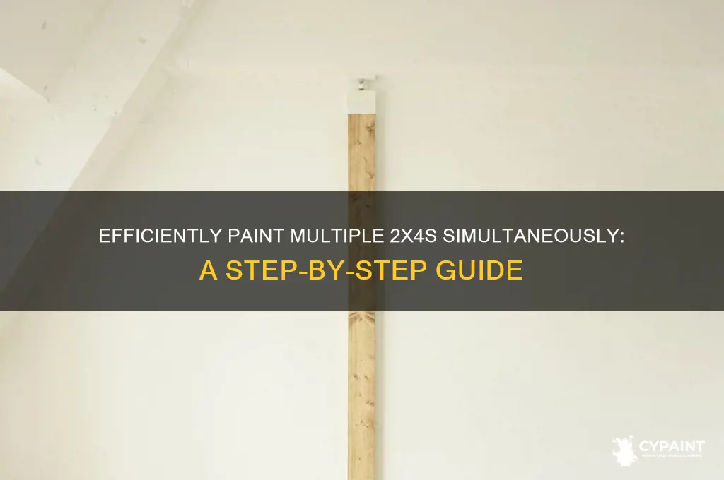 Efficiently Paint Multiple 2X4s Simultaneously: A Step-By-Step Guide ...