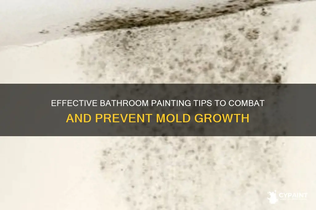 Effective Bathroom Painting Tips To Combat And Prevent Mold Growth ...