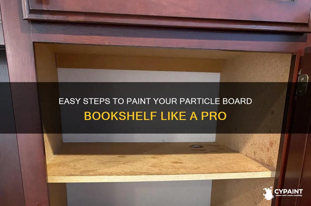 Easy Steps To Paint Your Particle Board Bookshelf Like A Pro | CyPaint